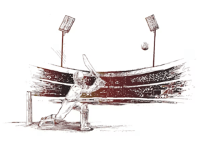 Selection Process - Young Stars Cricket League